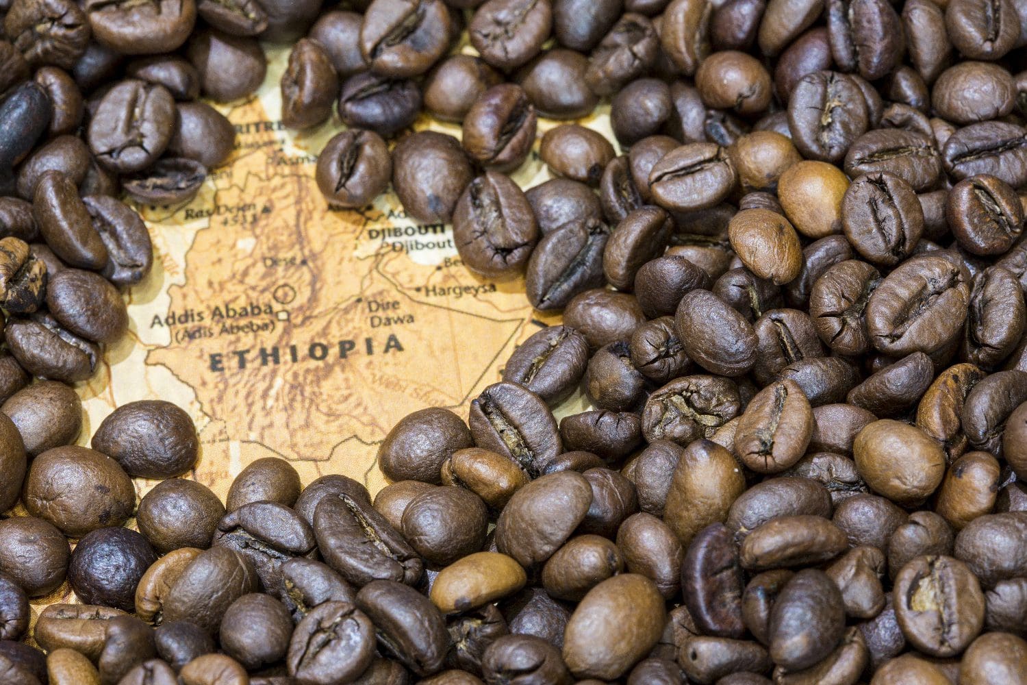 How does Ethiopia produce such fantastic coffee? | Amiche Coffee